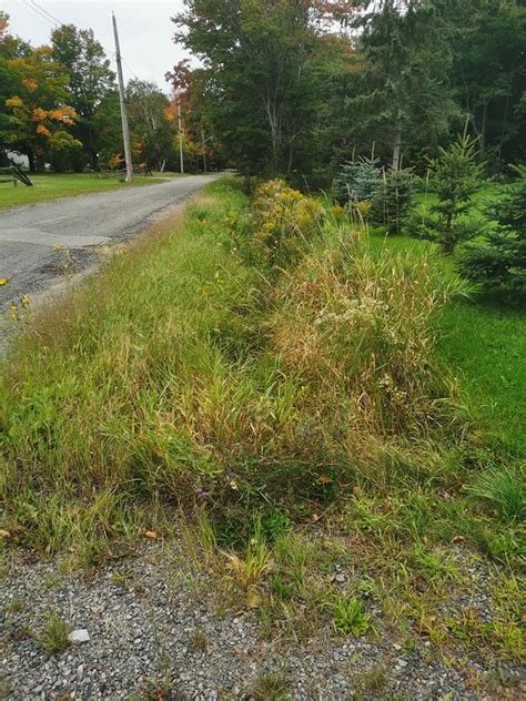 Mongoose Works Mongoose Works Added A New Photo