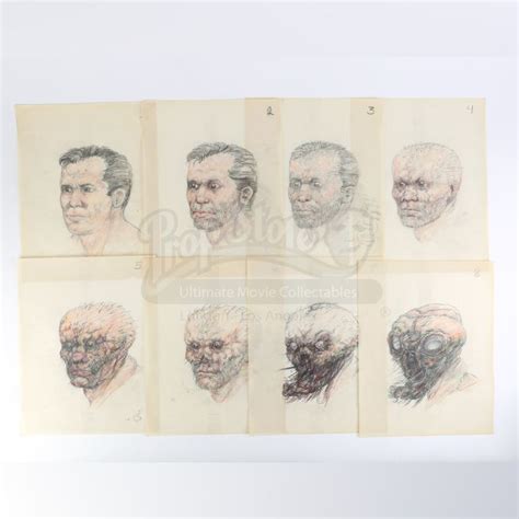 Hand Drawn Fly Transformation Concept Artwork Fly The 1986