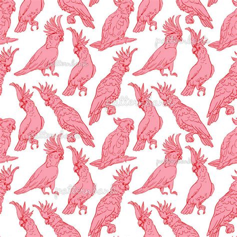 Cockatoo Pattern By Mona Monash Seamless Repeat Vector Royalty Free Stock Pattern Patternbank