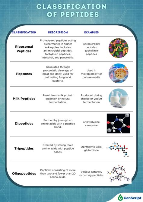 Tabular Presentation Of Classification Of Peptide Dr Pallavi Singh