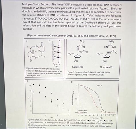 solved multiple choice section the i motif dna structure is