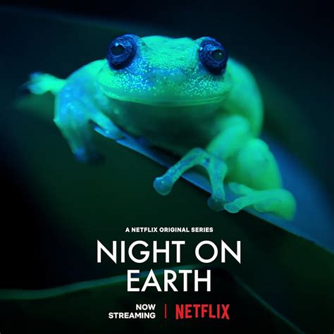 Night On Earth Tv Mini Series 2020 Imdb
