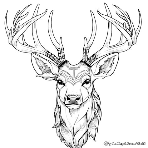 Realistic Whitetail Deer Coloring Pages Deer Pencil Drawing Print Realistic Whitetail Deer Coloring Pages Deer Pencil Drawing Print