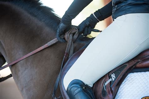 Put Your Position To The Test Knot Your Reins And Drop Your Stirrups