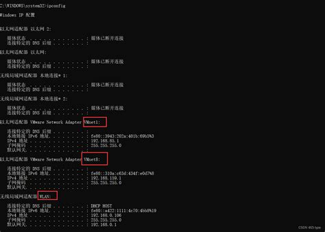 Vmware网络的设置 Csdn博客
