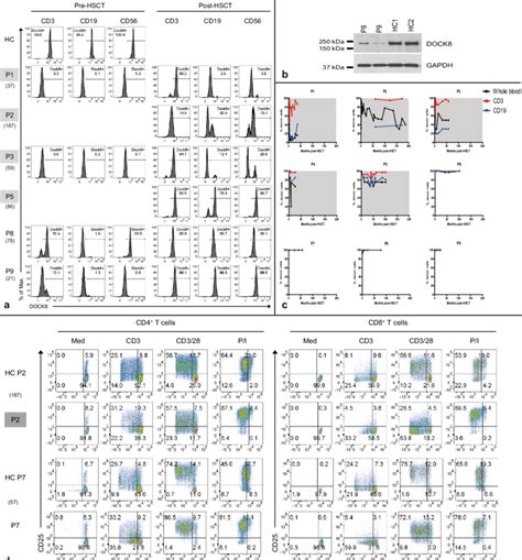 Complete Donor Chimerism Results In Complete Expression Of Dock8