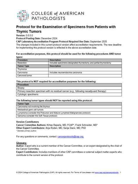 Thymus Ca Protocol Pdf Thymus Aorta