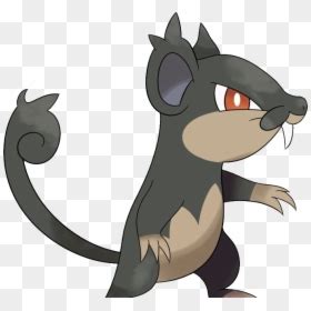 Alolan Rattata Rattata Hd Png Download Vhv