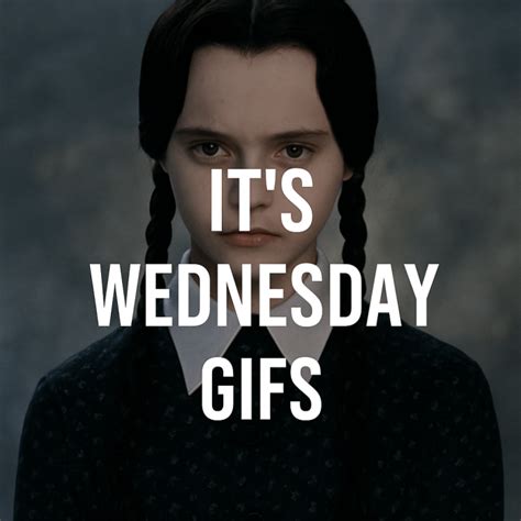 Wednesday S 25 Hilarious Picks To Power Through Hump Day