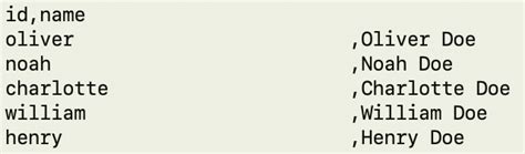 Record Extractor Ism Manual