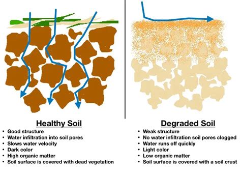 Granular Soil Structure