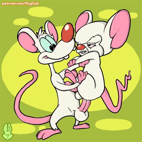 Pinkyandthebrain