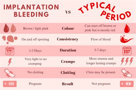 How Implantation Bleeding Looks Like