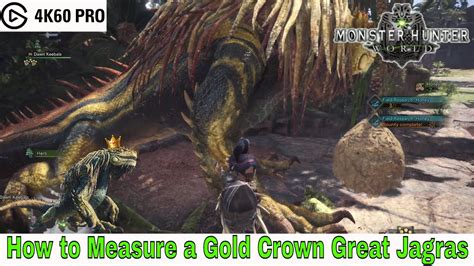 Monster Hunter World How To Measure A Gold Crown Great Jagras Youtube