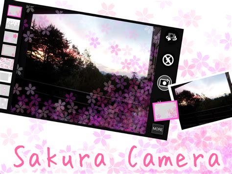 Sakura Camera 桜 Camera Apk For Android Download