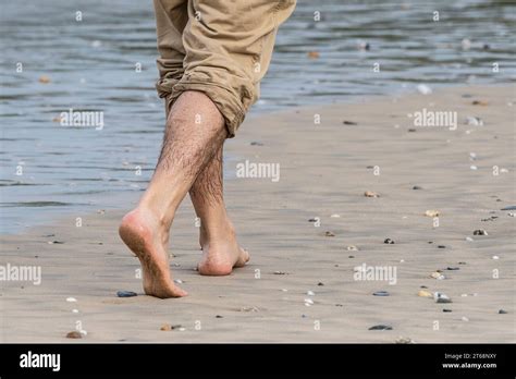 A Man With Rolled Up Trousers Walking Barefoot On The Shoreline On
