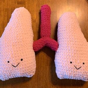 11 Crochet Organs Patterns Ebook Pdf Amigurumi Heart Liver Etsy