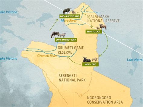 The Great Wildebeest Migration Kenya Tour Holiday Packages Masai