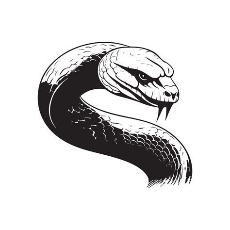 Viper Image Vector 35998908 Vector Art At Vecteezy