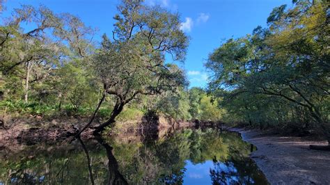 Alachua County Expands Protected Corridor Along The Santa Fe River