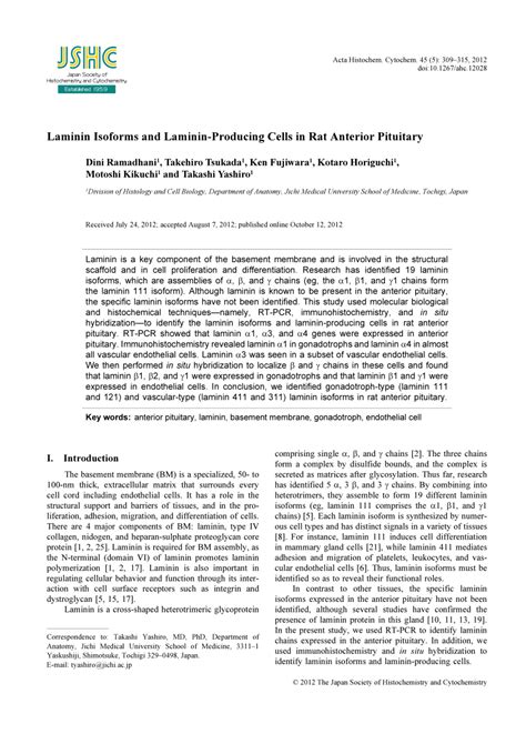 Pdf Laminin Isoforms And Laminin Producing Cells In Rat Anterior Pituitary