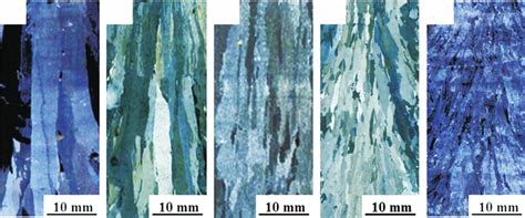 Optical Macrostructures Of Ccds Ti 43al 2cr 2nb Ingots In Download