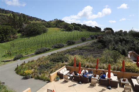 Our Wine Nicholson Ranch