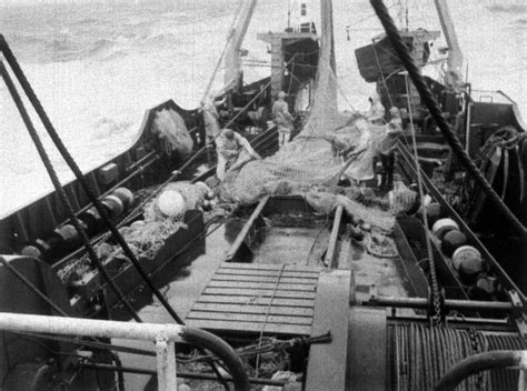 What Were The ‘cod Wars Between The Uk And Iceland Isle Of Wight County Press