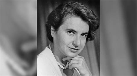 2 Histology Of Integument I At Rosalind Franklin