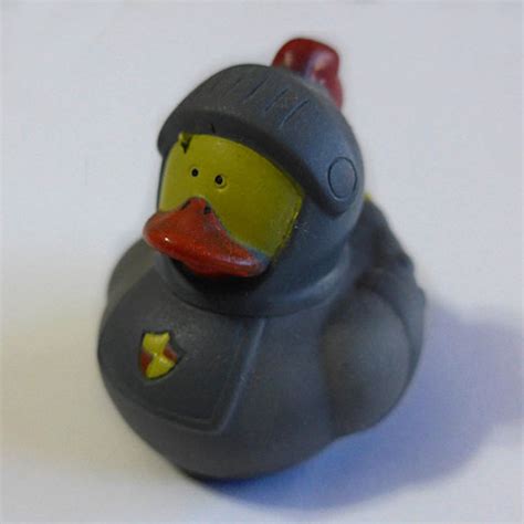 busy ducks making you pro duck tive