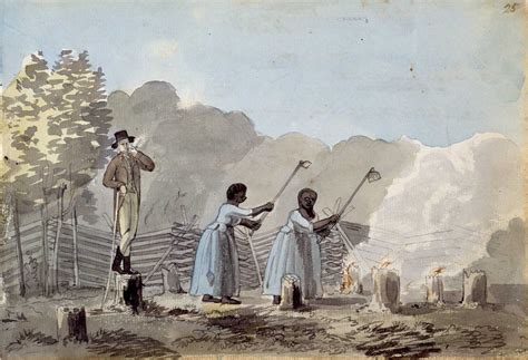 The Chesapeake Making Race National Museum Of African American