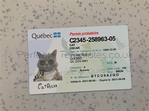 Canada Quebec Driving Licence Perfect Templates The Biggest