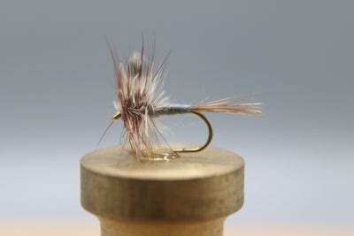 Flies Risen Fly