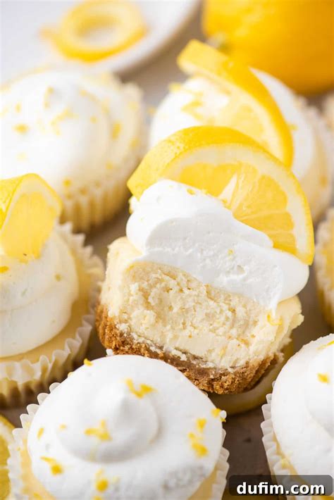 Zesty Lemon Cheesecake Bites Dufim