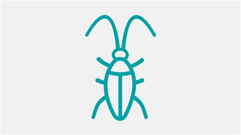 Pest Proofing Colkim