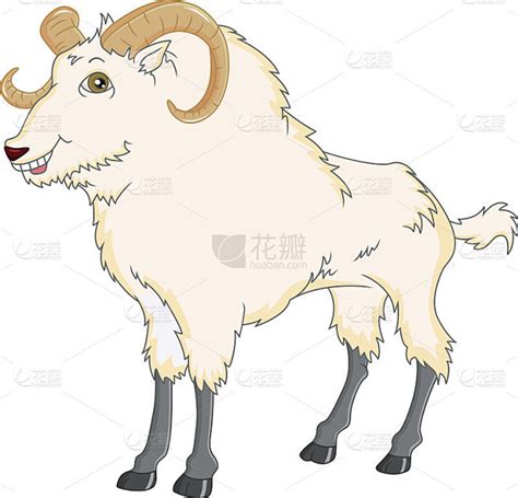 山羊卡通