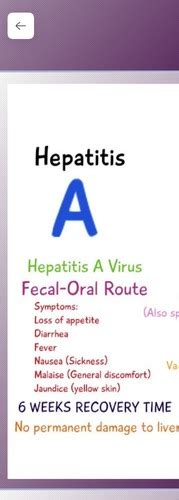 Hepatitis Flashcards Quizlet Hepatitis Flashcards Quizlet