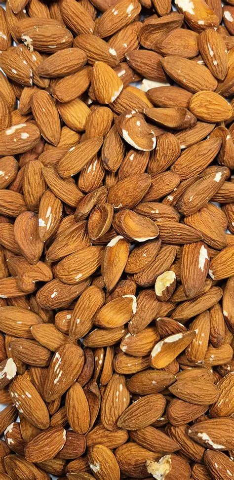 Optical Sorter Meyer M2 Msxc 120m