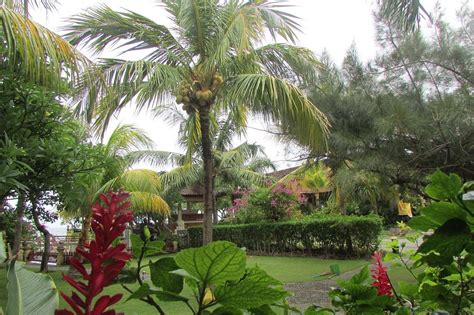 Arya Amed Beach Resort 37 ̶9̶6̶ Prices And Bandb Reviews Bali