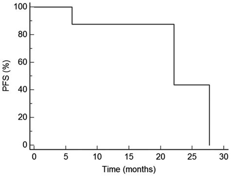 Primary Central Nervous System Lymphoma Treated With High Dose