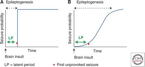 Epileptogenesis