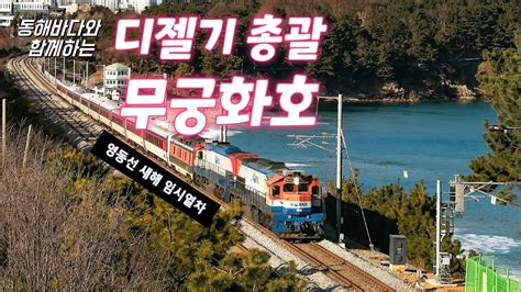 새해 첫날부터 11 디젤기관차 총괄견인 무궁화호 임시열차 해돋이관광 Youtube