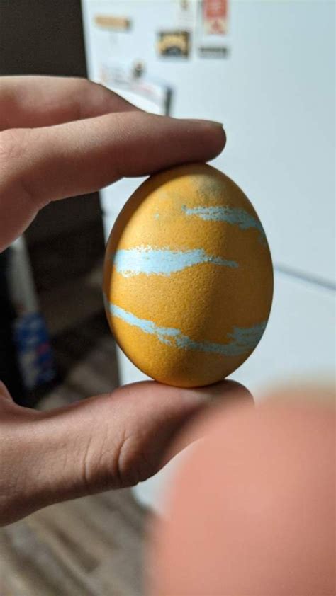 Easter Eggs Digimon Amino