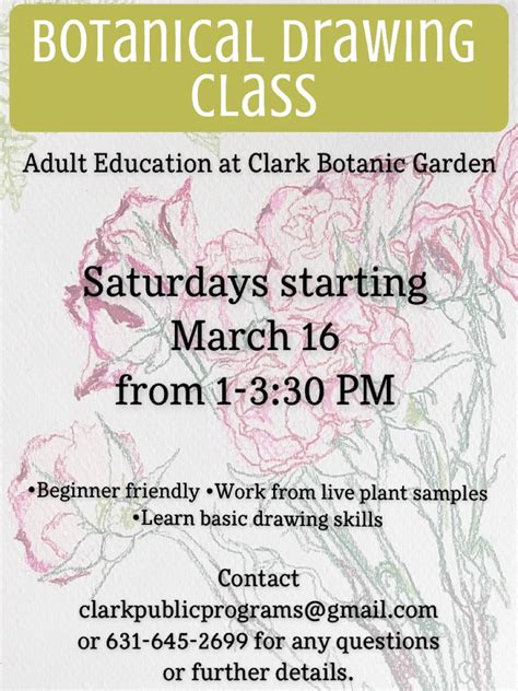 Botanical Drawing Class Clark Botanic Garden