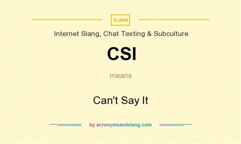Csi Can`t Say It In Internet Slang Chat Texting And Subculture By