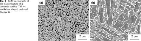 Sem Micrographs Of The Microstructure Of A Cemented Carbide Tsf 44 And