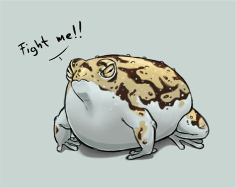 The Angriest Of The Tiniest Frogs The Desert Rain Frog Know Your Meme