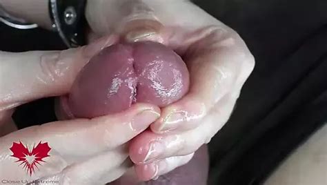 Instruction Video For Milking Pre Ejaculate Close Up Of Delaying And