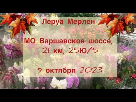 Леруа Мерлен Москва Варшавка 09.11.23 - YouTube