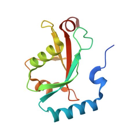 Rcsb Pdb 2zjd Crystal Structure Of Lc3 P62 Complex